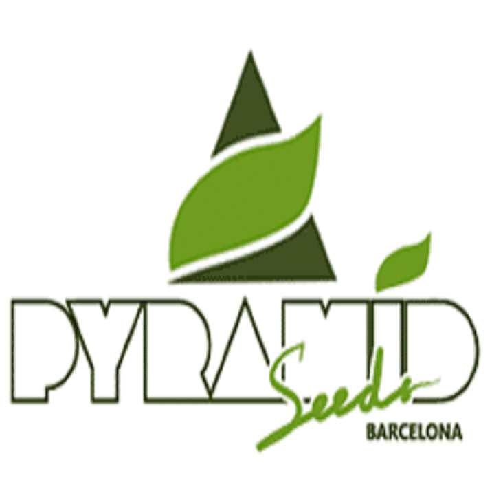 Les plus grandes banques de graines au meilleur prix | Livraison gratuite