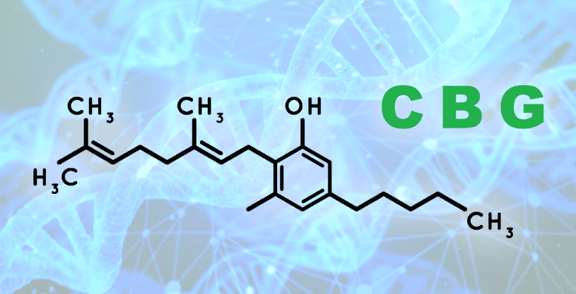 CBG : On vous dit tout sur le Cannabigérol