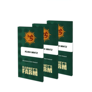 Graines Barney's Farm au meilleur prix | Seedshop Français