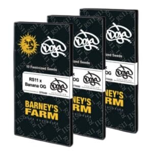 Graines de cannabis Barney's Farm : Qualité depuis 1986